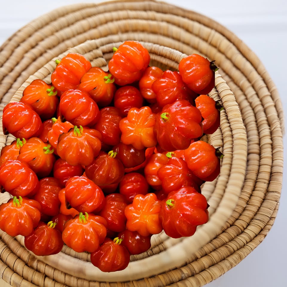Surinam Cherry: How to Grow & Care for This Exotic Fruit – Seed To Life